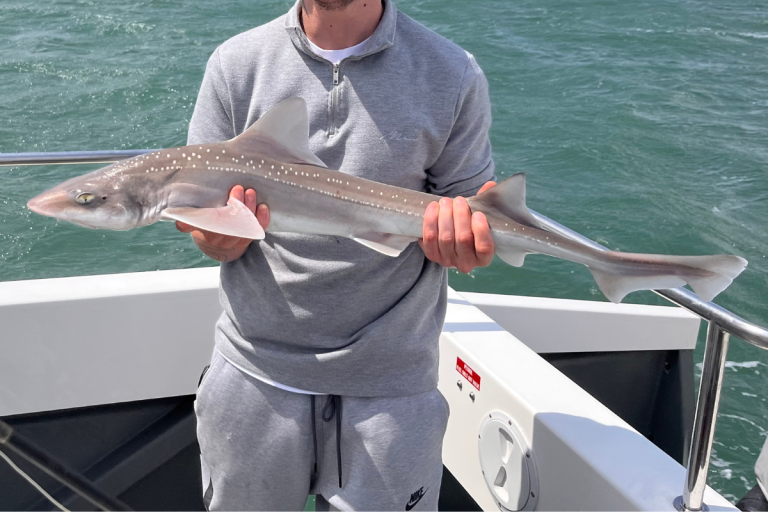 Fishing for Hope: How a Simple Activity Transformed a Man’s Behaviour ...